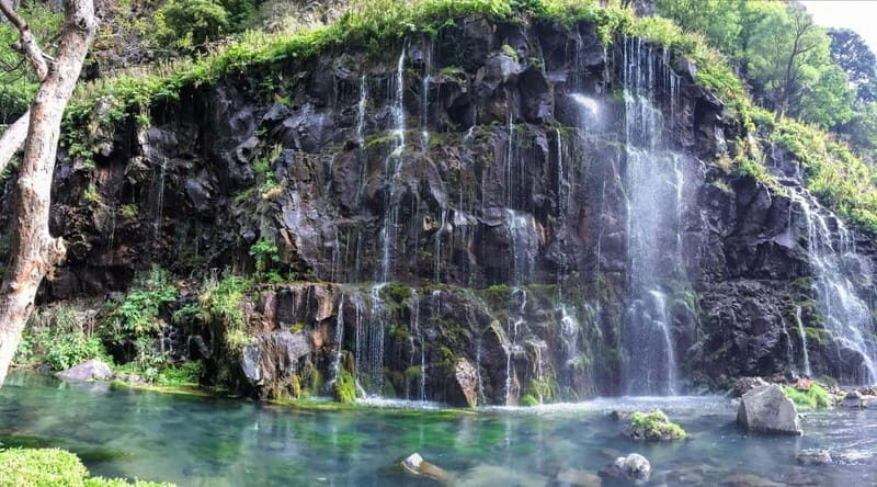 Tbilisi: Dashbashi Canyon and the Diamond Bridge Day Trip - FAQ  