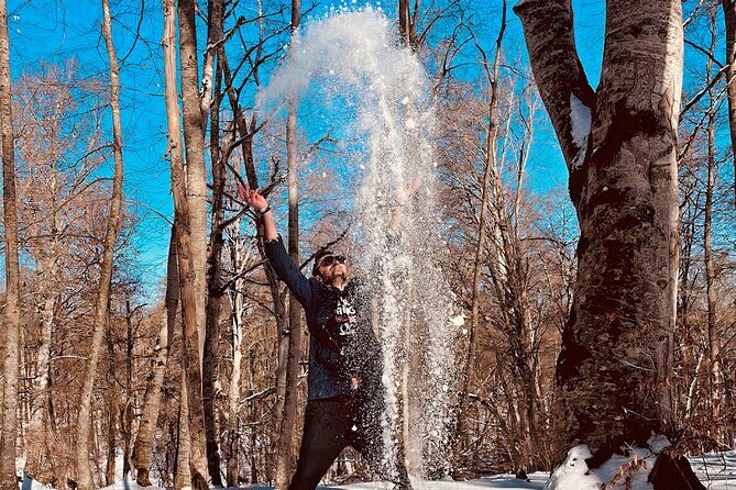 Tbilisi: Sabaduri Forest, Georgian Stonehenge & Bear Sanctuary - Why We Think This Tour Offers Great Value