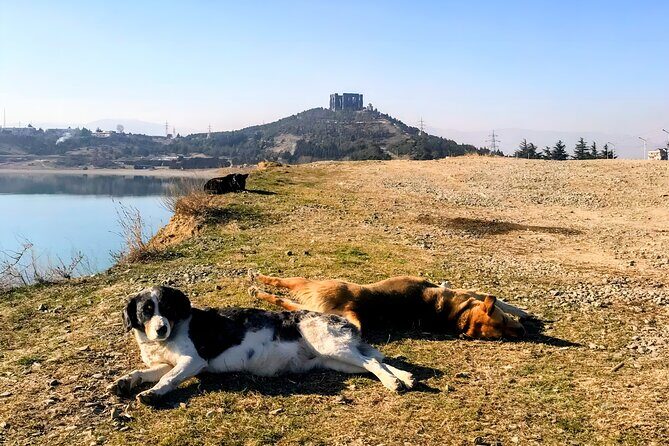 Tbilisi: Sabaduri Forest, Georgian Stonehenge & Bear Sanctuary - Final Thoughts