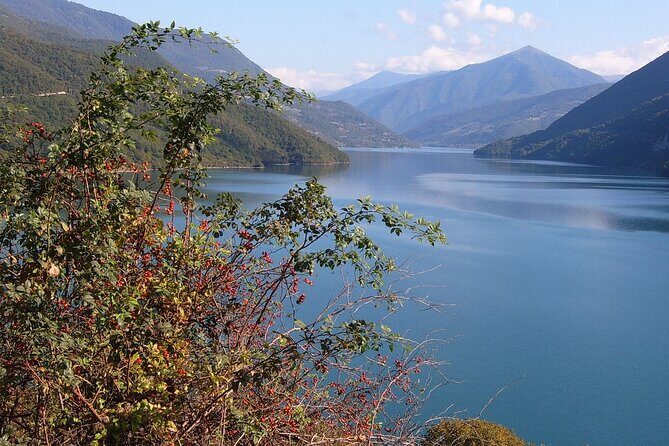 Tbilisi to Kazbegi, Gudauri, and Ananuri Day Tour - Final Thoughts