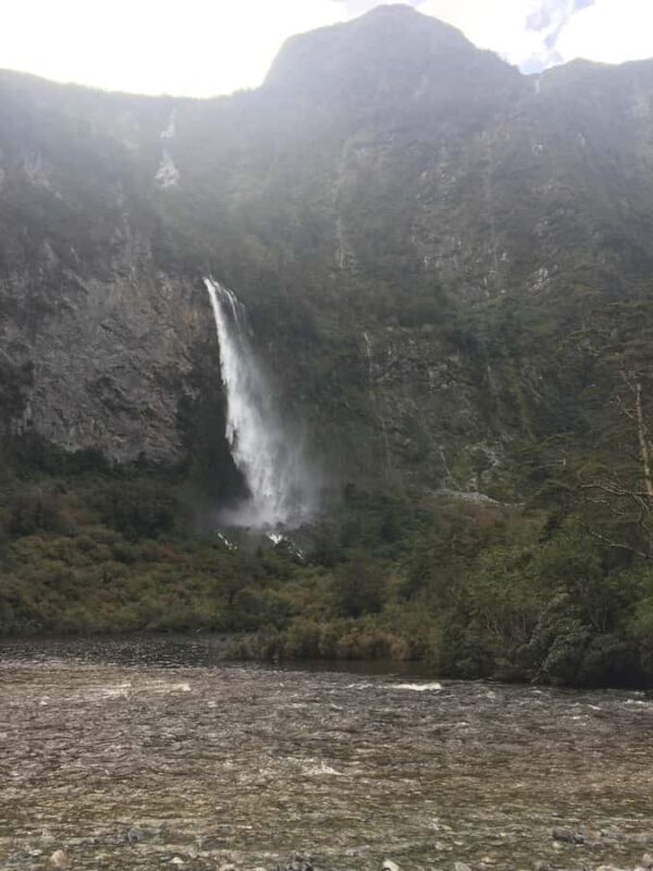 Te Anau: Doubtful Sound Discovery - Who Is This Tour Best For?