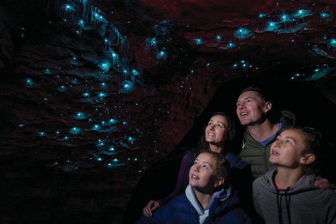 Te Anau Glow Worm Caves Tour - A Detailed Look at the Te Anau Glow Worm Caves Experience