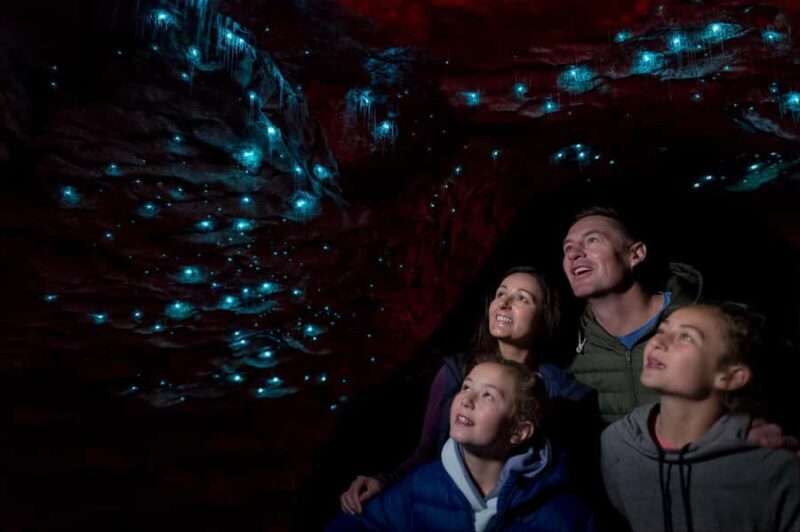 Te Anau: Glowworm Caves Guided Tour - Key Points