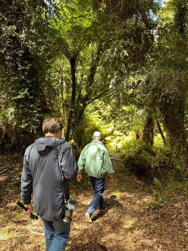 Te Anau: Kepler Heli Hike (unguided) - Key Points