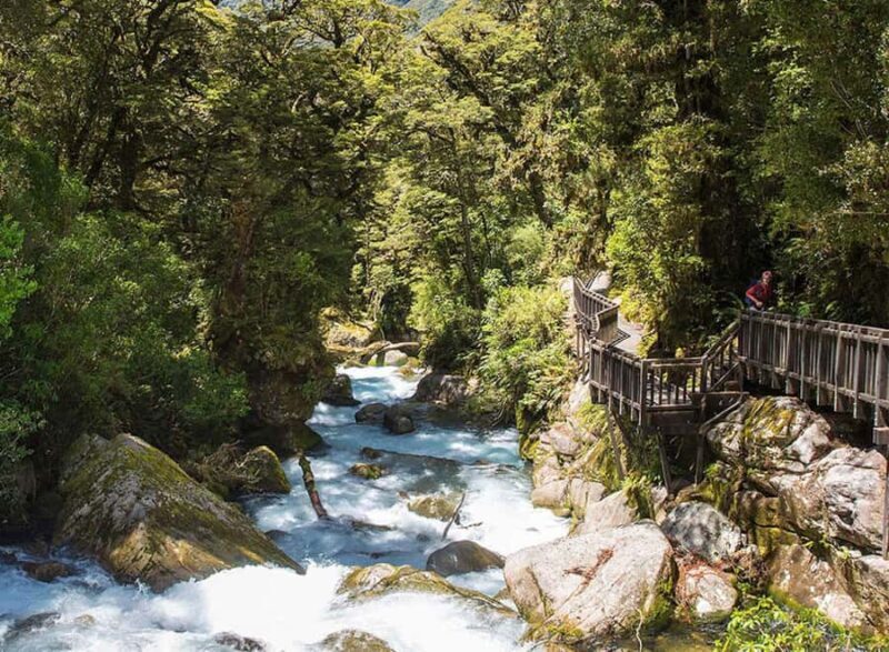 Te Anau: Lake Marian Guided Day Hike with Lunch - An Introduction to the Experience