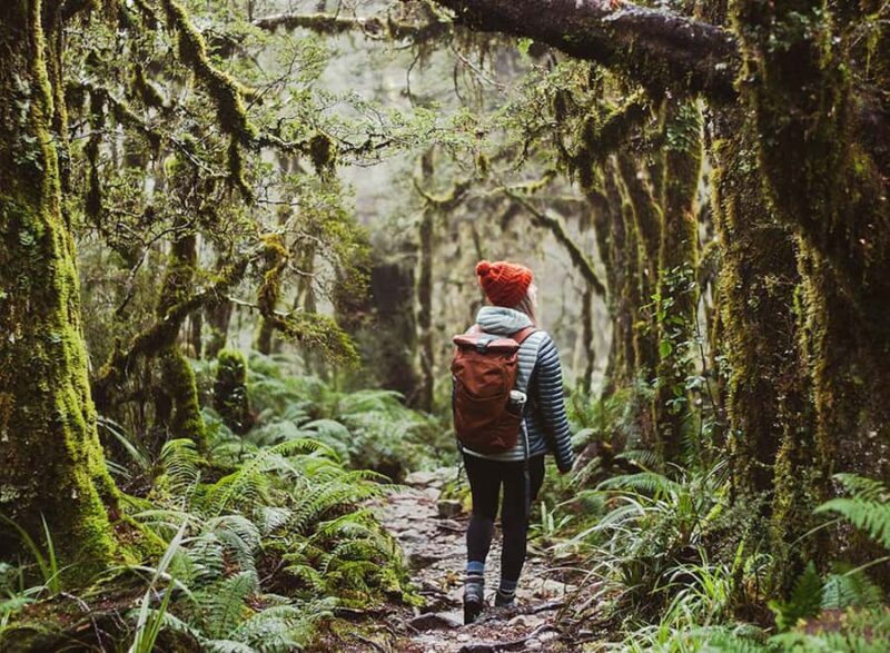 Te Anau: Lake Marian Guided Day Hike with Lunch - Who Should Consider This Tour?