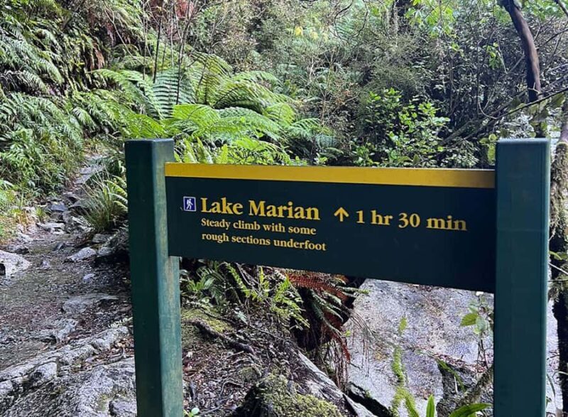 Te Anau: Lake Marian Guided Day Hike with Lunch - The Sum Up
