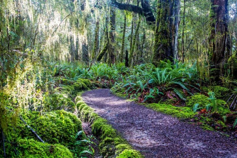 Te Anau: River Jet Boat and Bike Ride Tour with Local Guide - FAQ