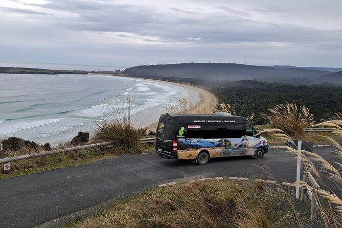 Te Anau to Dunedin Via The Catlins Small-Group Tour (One-Way) - Arrival in Dunedin