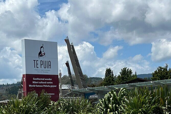 Te Puia And Redwood Park Day Trip Transport From Auckland - An In-Depth Look at the Rotorua Day Trip