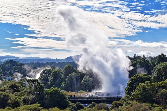 Te Puia Geothermal Wonderland Private Tour From Auckland - The Sum Up