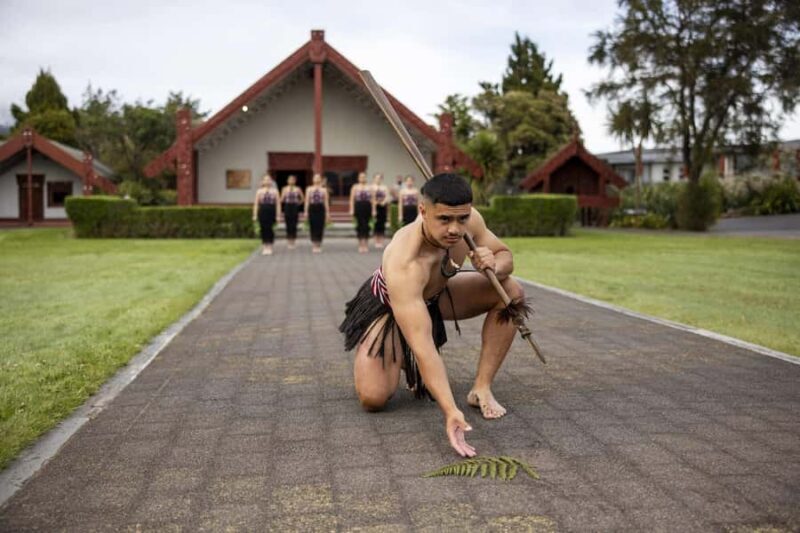 Te Puia: Te P Indigenous Combo - Tour, Dinner + Haka - In The Sum Up: Who Should Consider This Tour?