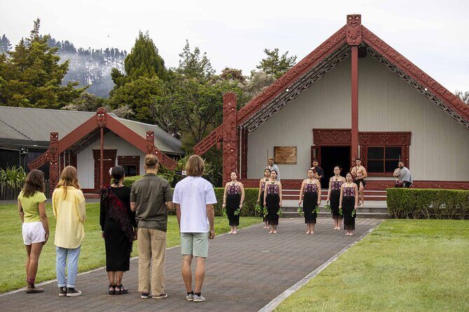 Te Puia: Te P Indigenous Evening Experience with Dinner - The Sum Up