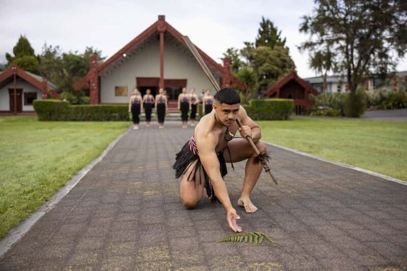 Te Puia: Te R Guided Day Tour + Haka Cultural Performance - In-Depth Look at the Itinerary