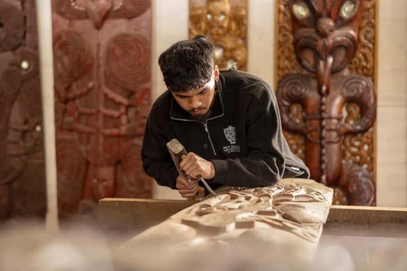 Te Puia: Te R Guided Day Tour + Haka Cultural Performance - Authentic Insights from Past Travelers