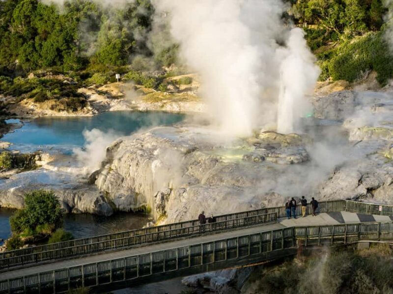 Te Puia: Te R Guided Day Tour - Who Will Love It?