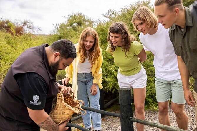 Te Puia: Tuku Iho Trail - An In-Depth Look at the Tuku Iho Trail