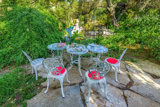 Tea with hummingbirds at a Hummingbird Sanctuary - A Deep Dive into the Experience