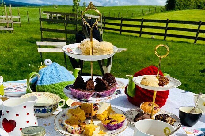 Tea with Naughty Sheep - Authentic Reviews from Visitors