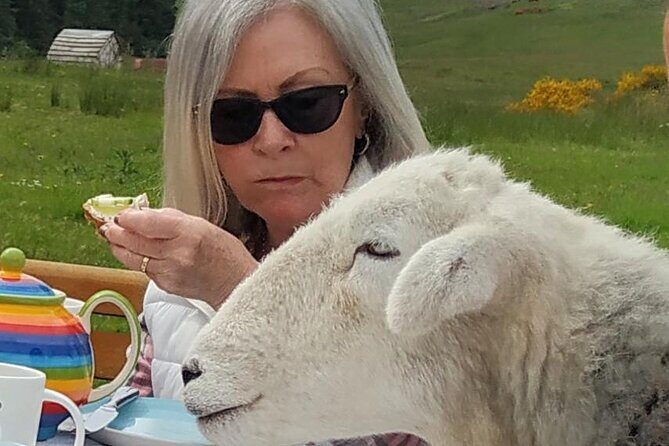 Tea with Naughty Sheep - FAQs