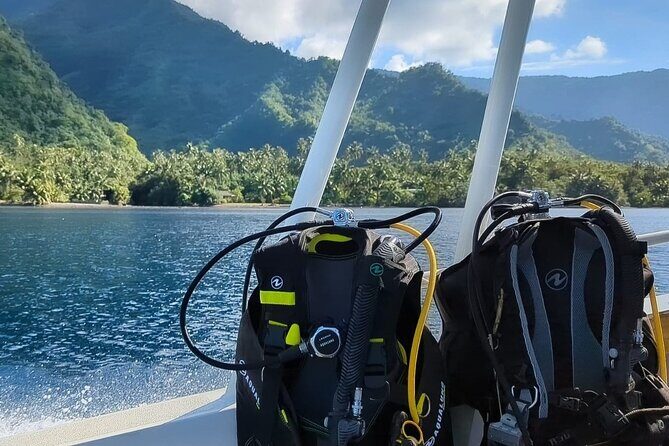 Teahupo'o Jurassic Tour and Private Diving - Key Points