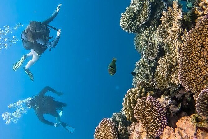 Teahupo'o Jurassic Tour and Private Diving - Final Thoughts: Is It Worth It?