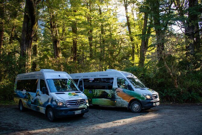 TeAnau to Queenstown via Milford Sound Tour with Cruise and Lunch - Final Thoughts: Who Will Love This Tour?