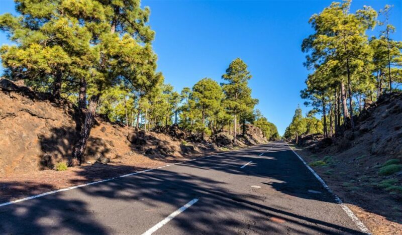 Teide: Guided Sunset & Stargazing Tour by Night with Dinner - Pricing & Value