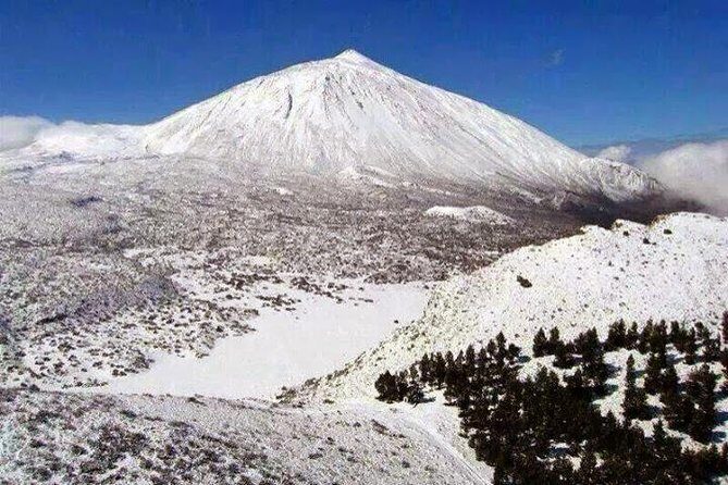 Teide-Icod-Garachico-Masca (Most popular bus tour in Tenerife) - Who Should Consider This Tour?