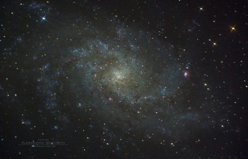 Teide National Park: Guided Large Telescope Stargazing Tour - The Value for Money