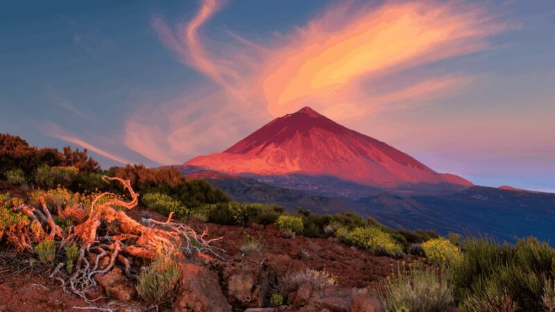 Teide National Park: Landscapes and Viewpoints Private Tour - Key Points