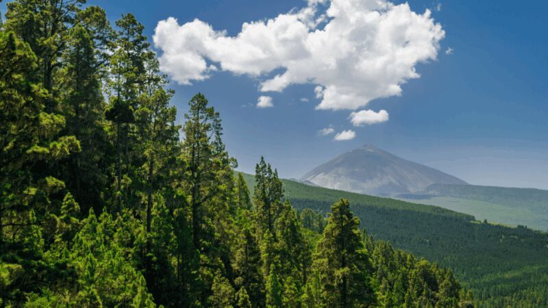Teide National Park: Landscapes and Viewpoints Private Tour - FAQ