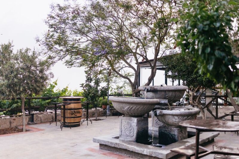 Teide Night Experience with Dinner and Stargazing - The Overall Value for Money