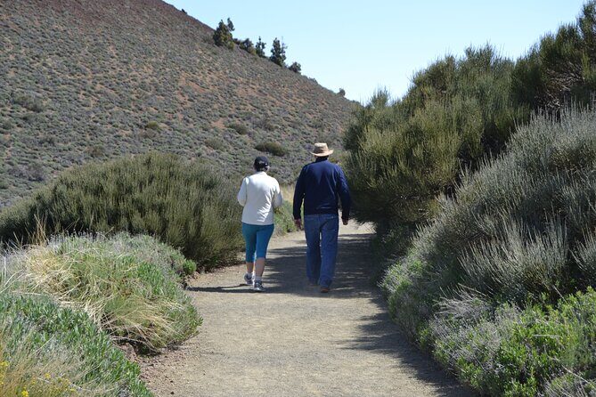 TEIDE: VIP tour - Who Should Book This Tour?