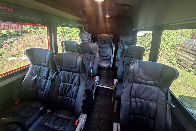 Tekapo to Christchurch Small-Group Tour (one-way) - Insights from a Review