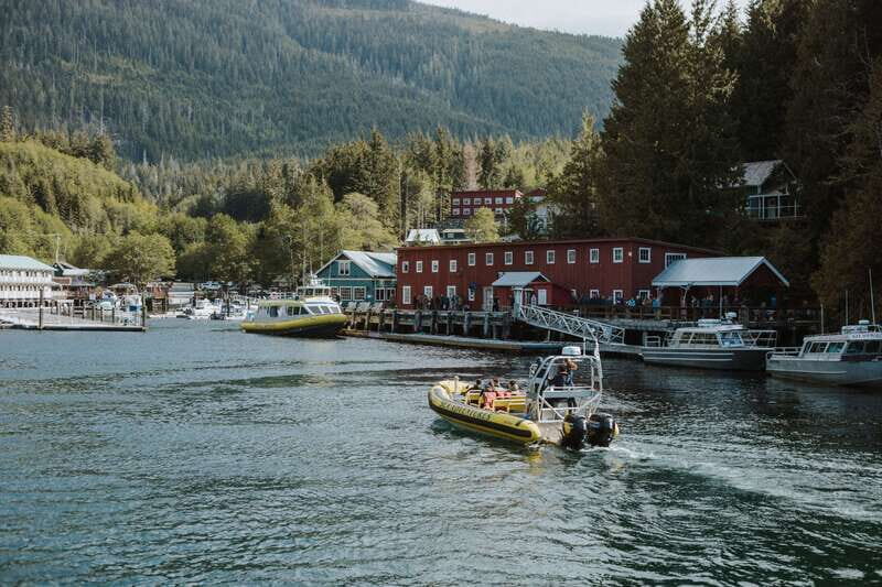 Telegraph Cove: 3-Hour Whale Watching Tour in a Zodiac Boat - The Experience: What to Expect on a Telegraph Cove Zodiac Whale Watching Tour