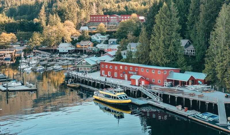 Telegraph Cove: 3-Hour Whale Watching Tour in a Zodiac Boat - The Sum Up