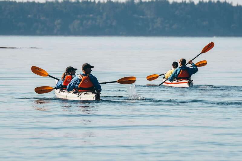 Telegraph Cove: Day Trip Kayaking Tour - Key Points