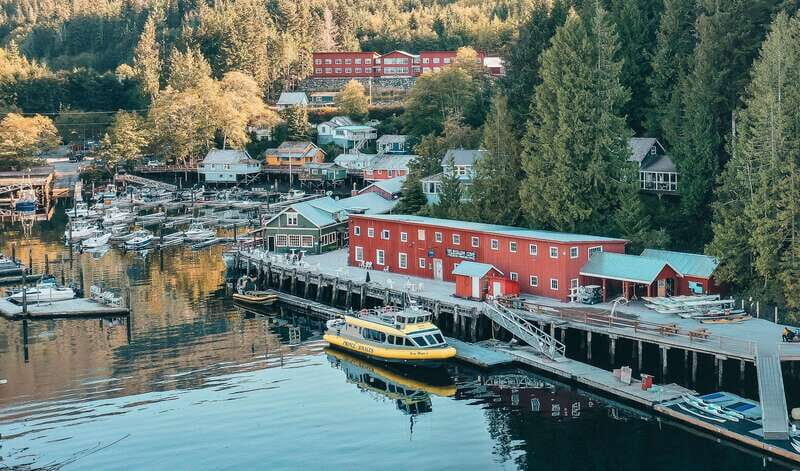 Telegraph Cove: Day Trip Kayaking Tour - An In-Depth Look at the Telegraph Cove Kayaking Tour