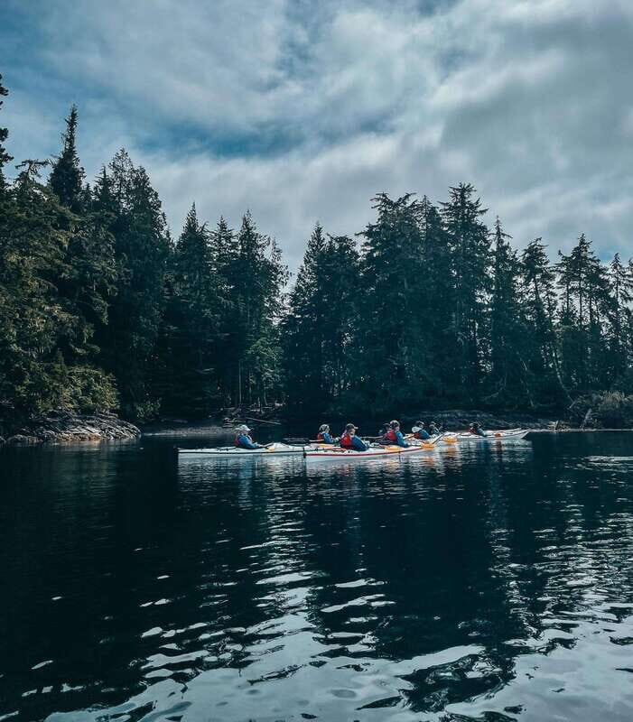 Telegraph Cove: Half-Day Kayaking Tour - Key Points