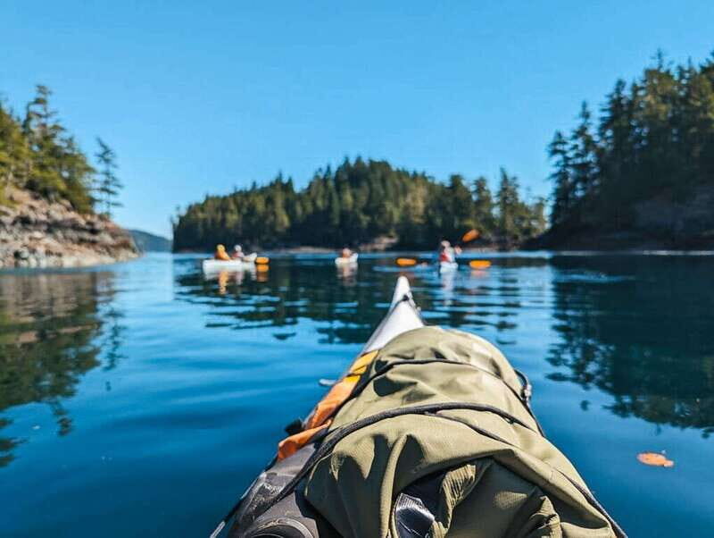 Telegraph Cove: Half-Day Kayaking Tour - What to Expect on the Tour