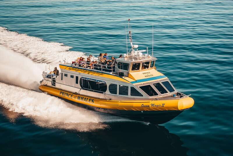 Telegraph Cove: Whale Watching Adventure with Free Photos - Why This Tour Stands Out