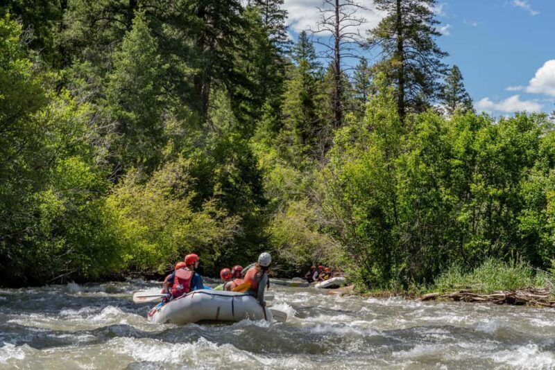 Telluride 1 Day Rafting Trip with Lunch - San Miguel River - The Itinerary: What to Expect from Start to Finish