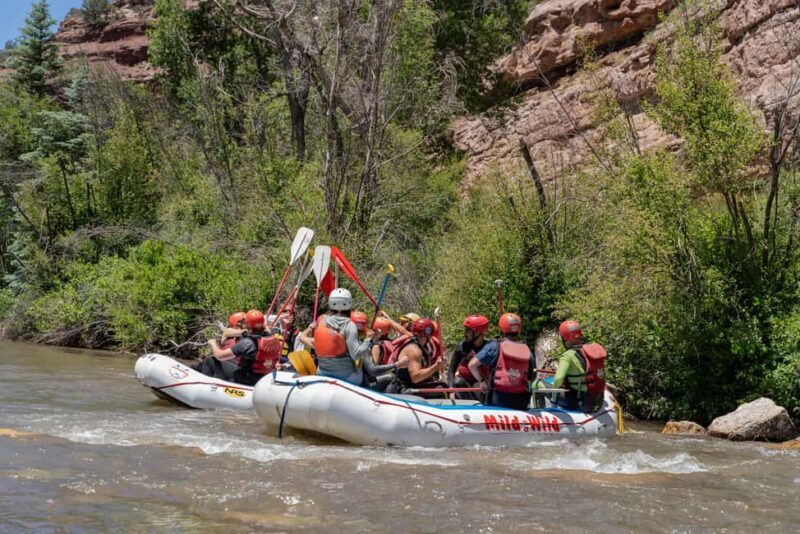 Telluride 1 Day Rafting Trip with Lunch - San Miguel River - Who Should Consider This Trip?