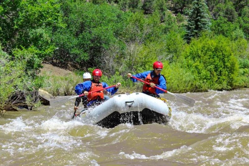 Telluride Afternoon Half Day Rafting Trip - San Miguel River - Key Points