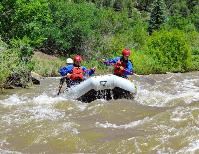 Telluride Afternoon Half Day Rafting Trip - San Miguel River - Suitability and Restrictions