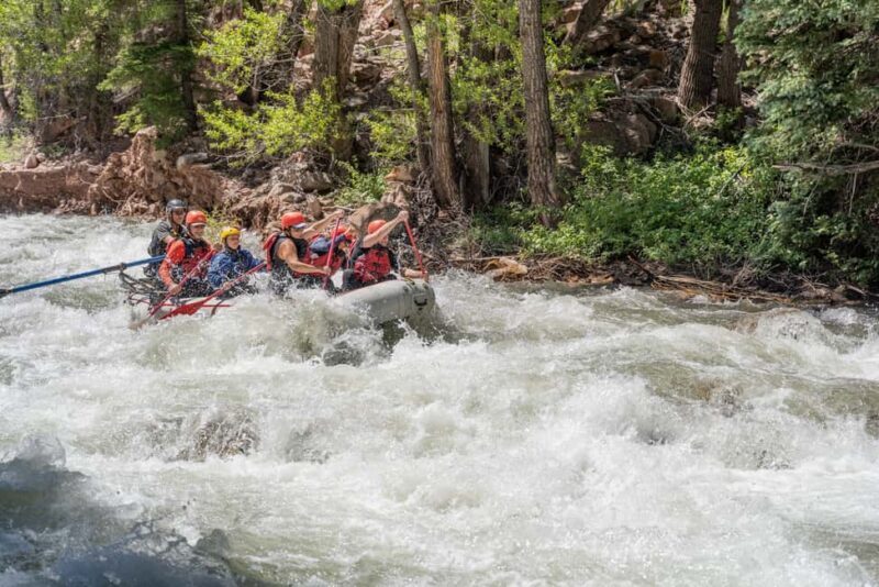 Telluride Morning Half Day Rafting Trip - San Miguel River - Considerations and Practical Tips