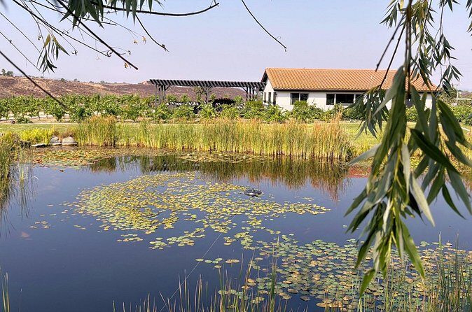 Temecula Treasures Wine Tour - FAQ