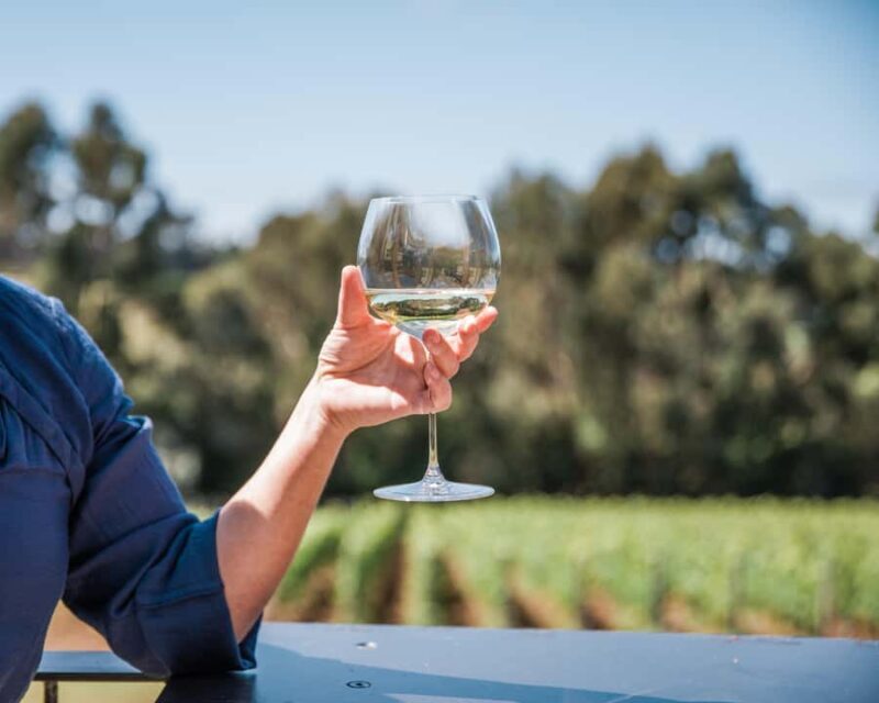 Ten Minutes by Tractor: Fine Wine & Gastronomy Experience - The Journey Begins at the Cellar Door