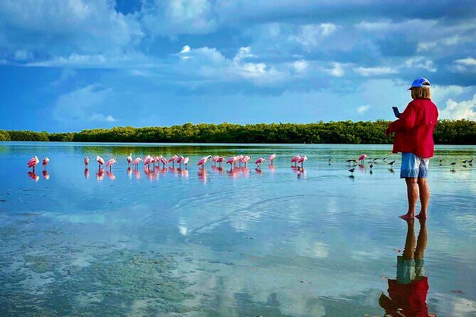 Ten Thousand Islands Eco/Dolphin Tour - Key Points